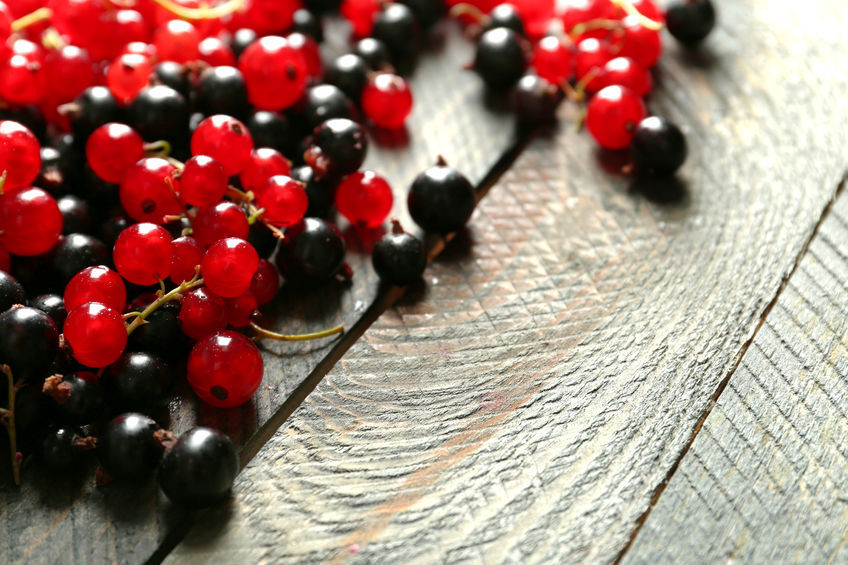 Zázračné ríbezle